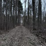 Pinhey Forest 31 Trail, Ontario, Canada - 616 Reviews, Map | AllTrails