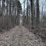 Pinhey Forest 31 Trail, Ontario, Canada - 616 Reviews, Map | AllTrails