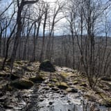 Slide Mountain Trail, New York - 1,578 Reviews, Map | AllTrails