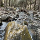 Scenic Trail Cut-off and Maiden Cliff Trail, Maine - 1,458 Reviews, Map ...