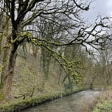 Chee Dale Gorge Circular, Derbyshire, England - 1,287 Reviews, Map ...