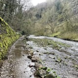 Chee Dale Gorge Circular, Derbyshire, England - 1,287 Reviews, Map ...