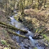 Lower Macleay Park to Pittock Mansion, Oregon - 4,201 Reviews, Map ...