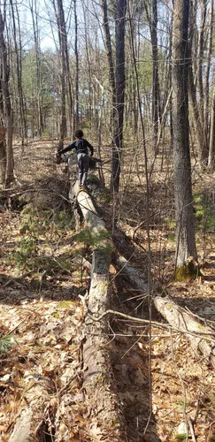 Best Hikes and Trails in Fort Pond Brook | AllTrails