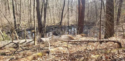 Best Hikes and Trails in Fort Pond Brook | AllTrails