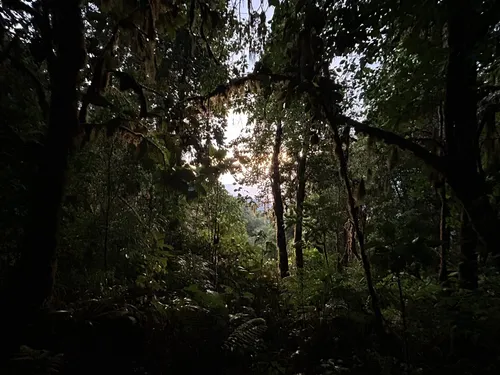 Best Backpacking Trails in Chirripo National Park | AllTrails