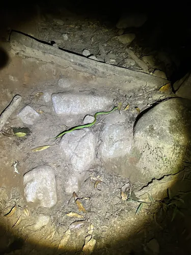 Best Backpacking Trails in Chirripo National Park | AllTrails