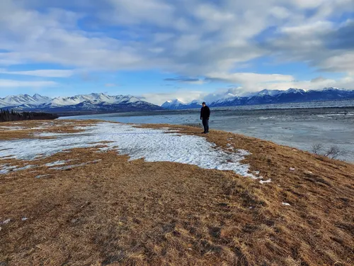 Best Hikes and Trails in Carr-Gottstein Park | AllTrails