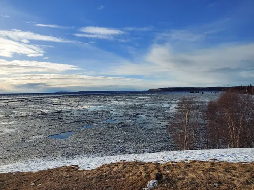 Best Hikes and Trails in Carr-Gottstein Park | AllTrails