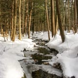 Severance Mountain, New York - 904 Reviews, Map | AllTrails
