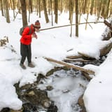 Severance Mountain, New York - 984 Reviews, Map | AllTrails