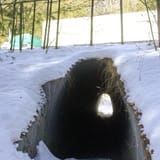 Severance Mountain, New York - 984 Reviews, Map | AllTrails