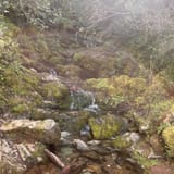 Olmstead Loop and Wendell Robie Trail, California - 2,926 Reviews, Map ...