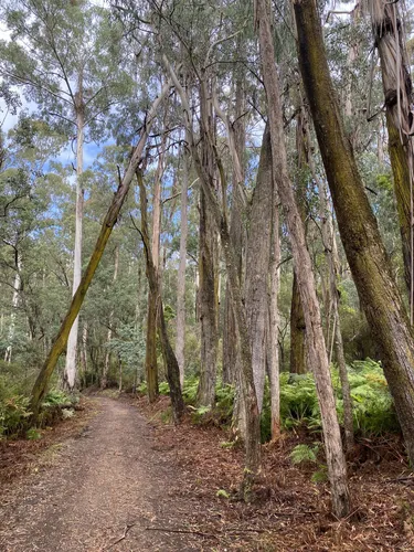 Best Historic Site Trails in Kalimna West | AllTrails