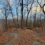 Fort Hunter Conservancy Walk, Pennsylvania - 518 Reviews, Map | AllTrails
