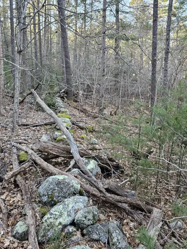 Best Hikes and Trails in Ridge Hill Reserve | AllTrails