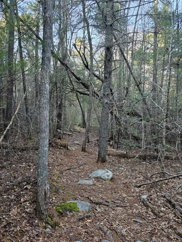 Best Hikes and Trails in Ridge Hill Reserve | AllTrails