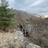 Mathews Arm Overall Run Trail, Virginia - 242 Reviews, Map | AllTrails
