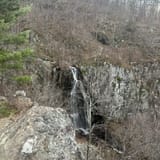 Mathews Arm Overall Run Trail, Virginia - 242 Reviews, Map | AllTrails