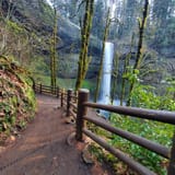 South Falls and Maple Ridge Loop, Oregon - 1,878 Reviews, Map | AllTrails