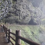 South Falls and Maple Ridge Loop, Oregon - 1,878 Reviews, Map | AllTrails