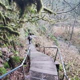 South Falls and Maple Ridge Loop, Oregon - 1,878 Reviews, Map | AllTrails