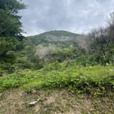 Mount Katsuu Loop, Okinawa, Japan - 103 Reviews, Map | AllTrails