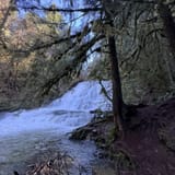 Alsea Falls and Green Peak Falls, Oregon - 1,074 Reviews, Map | AllTrails
