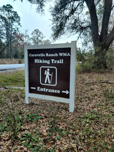 Best Hikes and Trails in Caravelle Ranch Wildlife Management Area ...