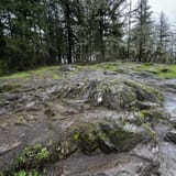 Lake to Lake Trail Loop via Lacamas Creek, Washington - 2,040 Reviews ...