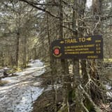Slide Mountain Trail, New York - 1,634 Reviews, Map | AllTrails