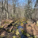 Slide Mountain Trail, New York - 1,578 Reviews, Map | AllTrails
