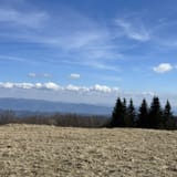 Huckleberry Knob Trail, North Carolina - 612 Reviews, Map | AllTrails