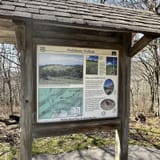 Huckleberry Knob Trail, North Carolina - 557 Reviews, Map | AllTrails