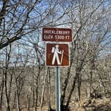 Huckleberry Knob Trail, North Carolina - 557 Reviews, Map | AllTrails