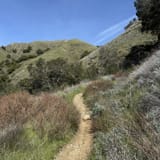 Timber Top and Boranda Trail, California - 709 Reviews, Map | AllTrails