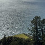 Timber Top and Boranda Trail, California - 709 Reviews, Map | AllTrails