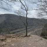 Mount Tammany via Red Dot and Blue Dot Loop Trail, New Jersey - 12,934 ...
