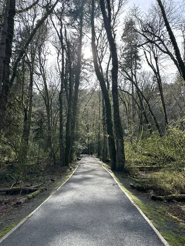 Best Easy Trails in Goldstream Provincial Park | AllTrails