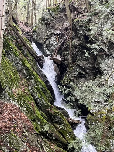 Best Hikes and Trails in Stevens Glen Reserve | AllTrails