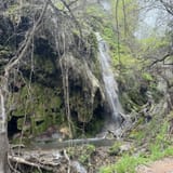 Gorman Falls Trail, Texas - 1,097 Reviews, Map | AllTrails