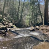 Denny Cove Waterfall Trail , Tennessee - 1,077 Reviews, Map | AllTrails