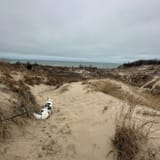 Warren Dunes Trail, Michigan - 1,218 Reviews, Map | AllTrails