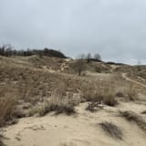 Warren Dunes Trail, Michigan - 1,218 Reviews, Map | AllTrails