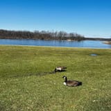 Busse Woods Loop Trail, Illinois - 2,507 Reviews, Map | AllTrails