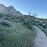 Picketpost Loop via Arizona Trail and L.O.S.T Trail, Arizona - 1,463 ...