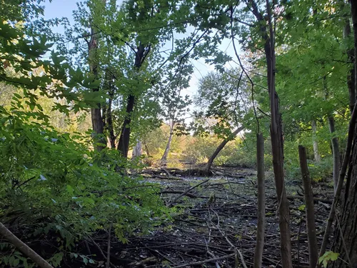 Best Hikes and Trails in Sand Ridge Nature Preserve | AllTrails