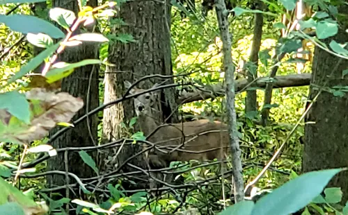 Best Hikes and Trails in Sand Ridge Nature Preserve | AllTrails