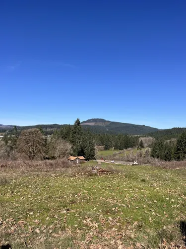 Best hikes and trails in Willamina | AllTrails