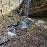 King's Bluff Loop Trail, Arkansas - 373 Reviews, Map | AllTrails